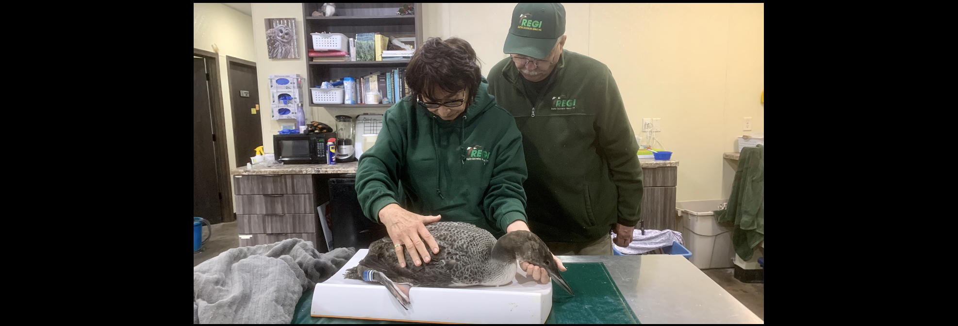 One That Almost Made It - The Loon Project