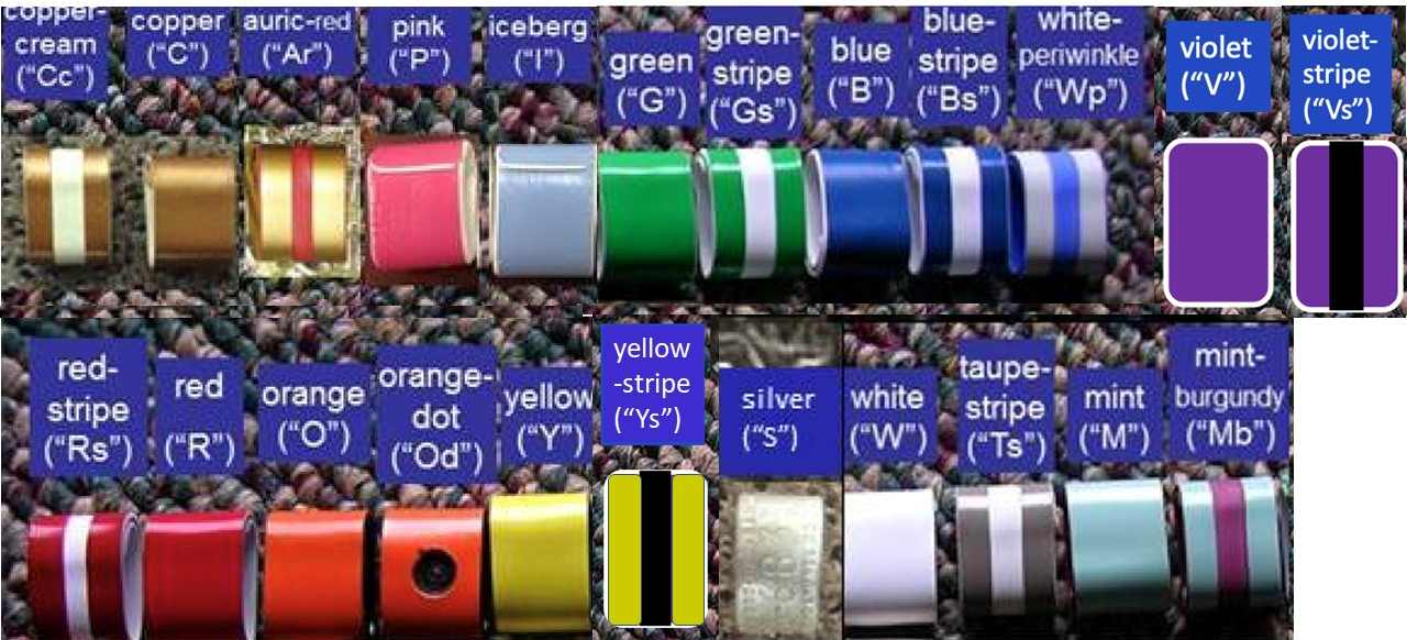 Guide to ID'ing Loons by Their Color Bands - The Loon Project